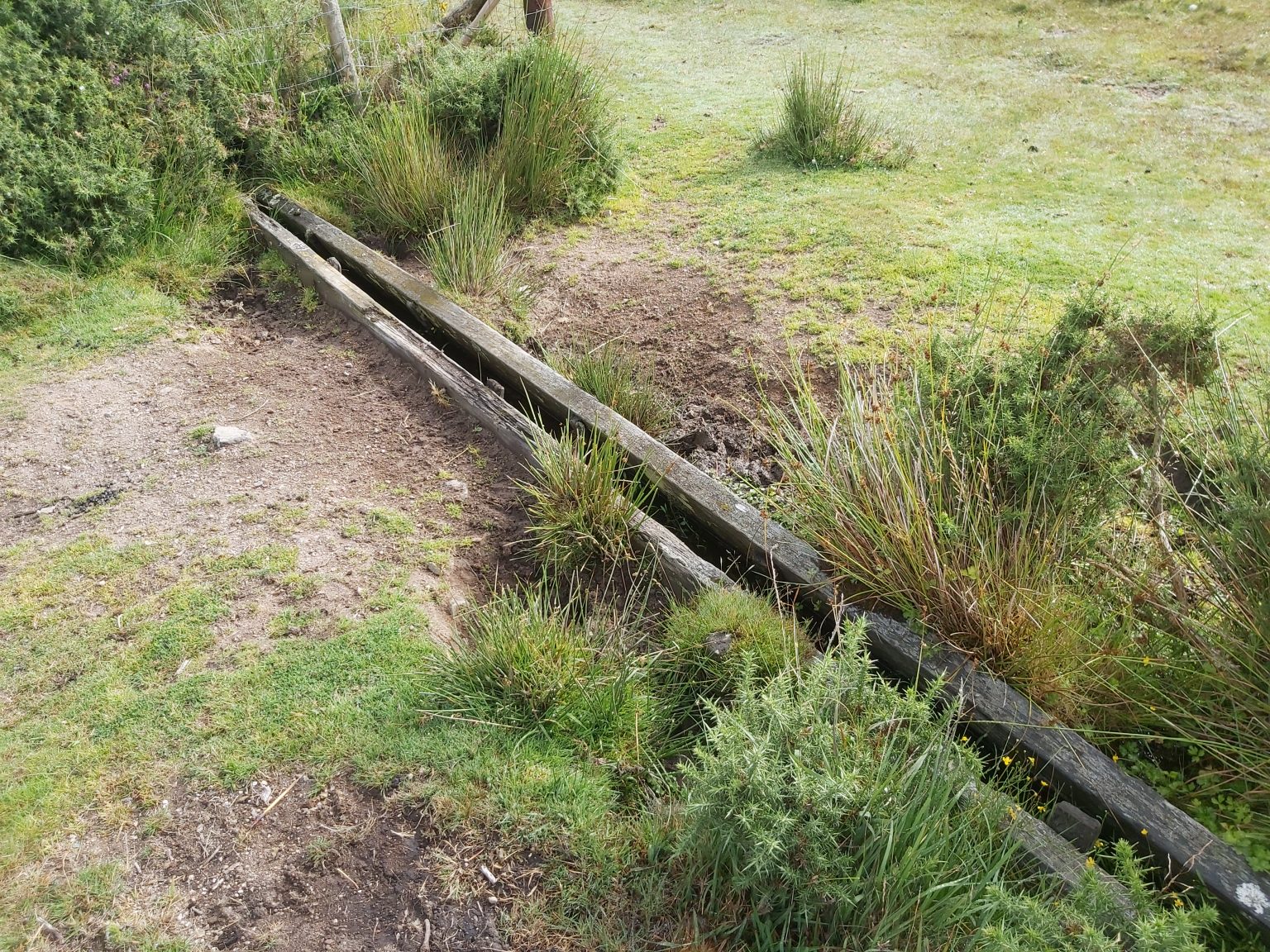 Holne Moor Leats – Dartmoor Explorations