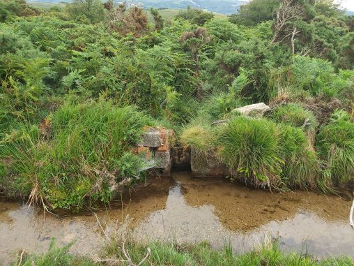Holne Moor Leats – Dartmoor Explorations