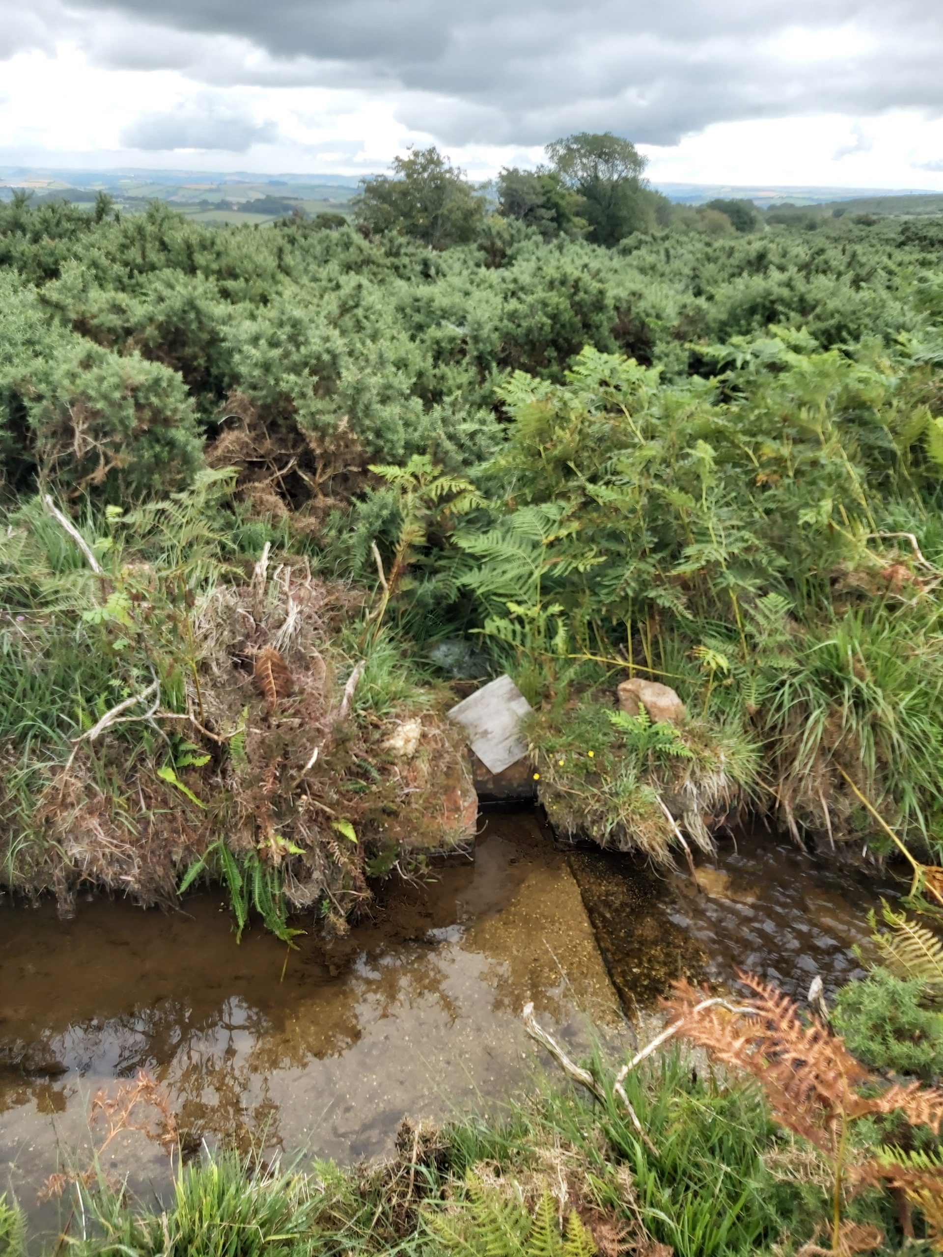 Holne Moor Leats – Dartmoor Explorations