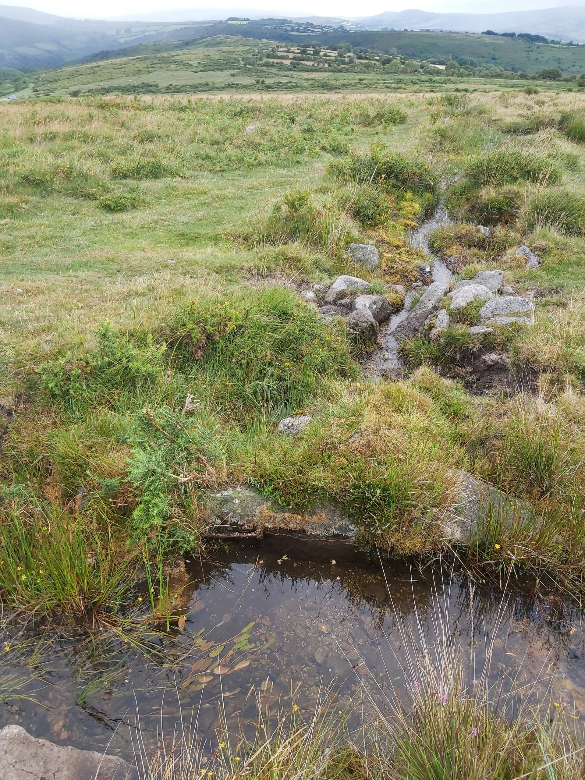 Holne Moor Leats – Dartmoor Explorations