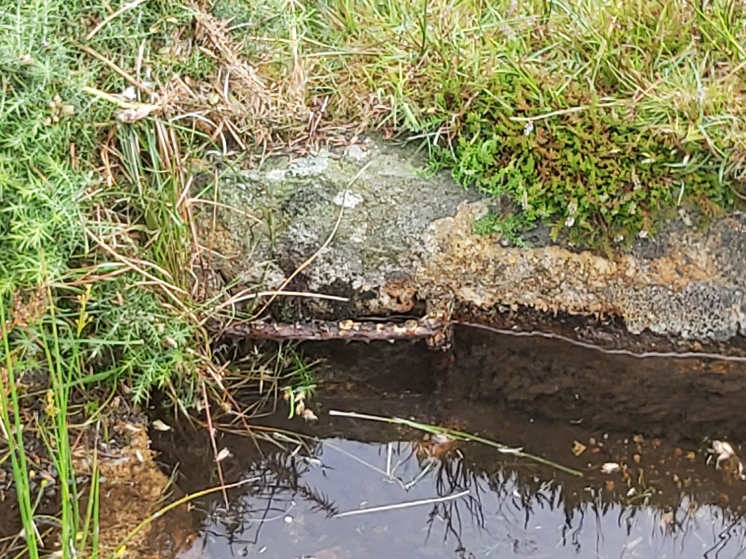 Holne Moor Leats – Dartmoor Explorations