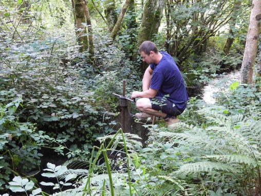HAMLYNS LEAT FROM HOLY BROOK TO UPPER (HAMLYNS) MILL AT BUCKFAST ...