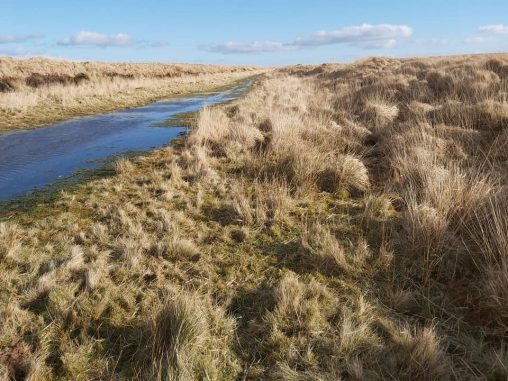 Red lake china clay workings – extraction – Dartmoor Explorations