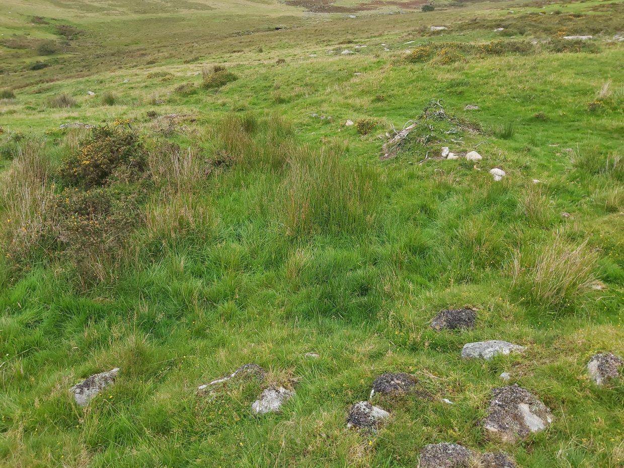 River Walkham Longhouses – Dartmoor Explorations