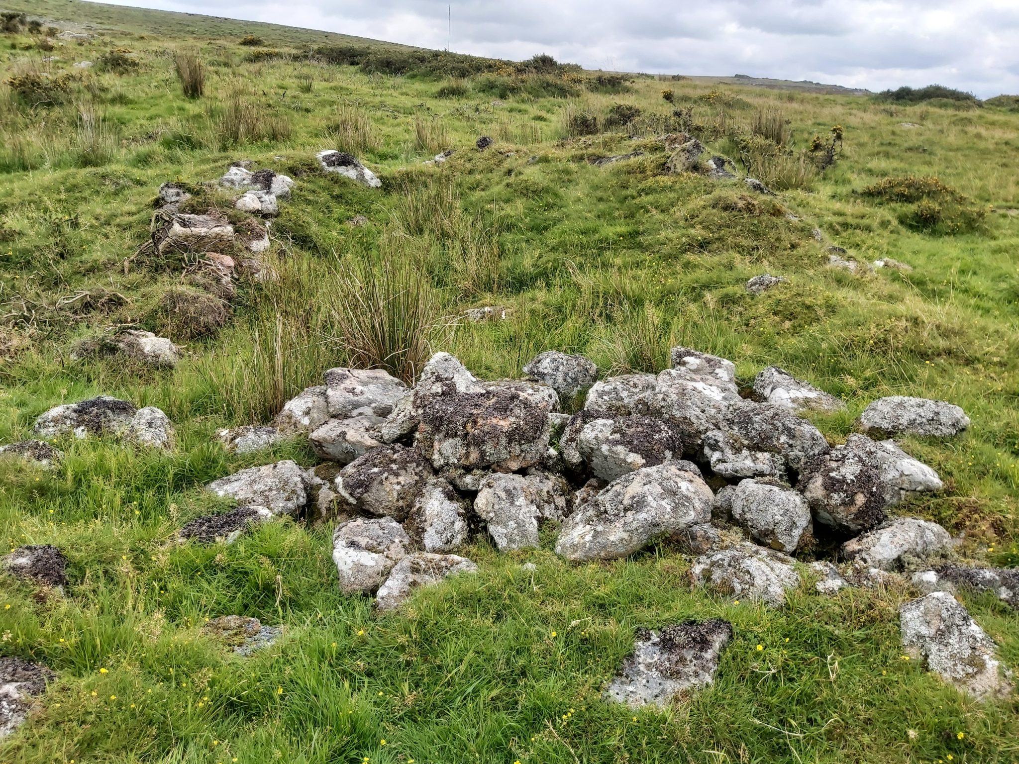 River Walkham Longhouses – Dartmoor Explorations