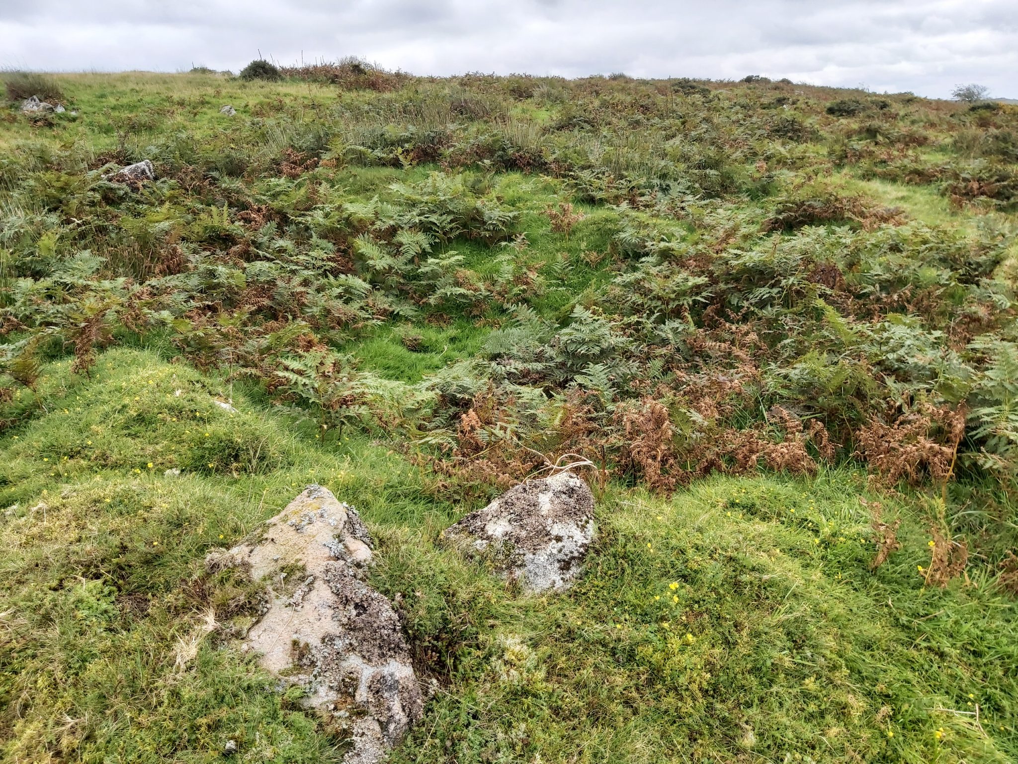 River Walkham Longhouses – Dartmoor Explorations