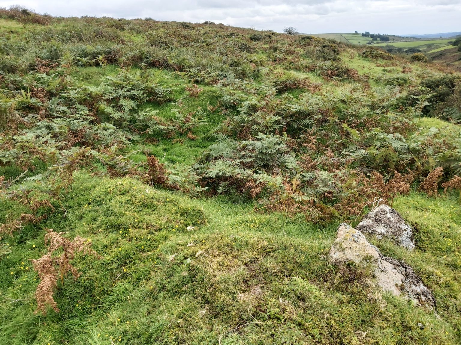 River Walkham Longhouses – Dartmoor Explorations