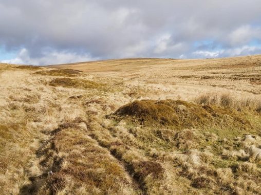 HUNTINGDON WARREN – Dartmoor Explorations