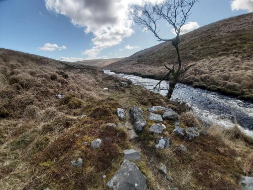 HUNTINGDON WARREN – Dartmoor Explorations