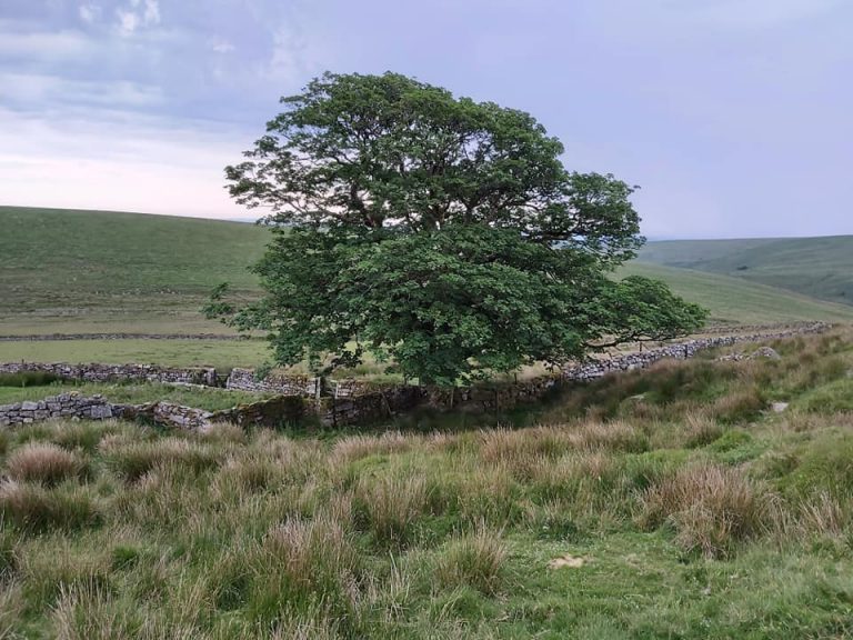 HUNTINGDON WARREN – Dartmoor Explorations