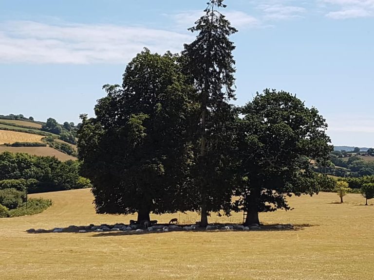 DARTMOOR EXPLORATIONS CALENDAR – JANUARY – Dartmoor Explorations