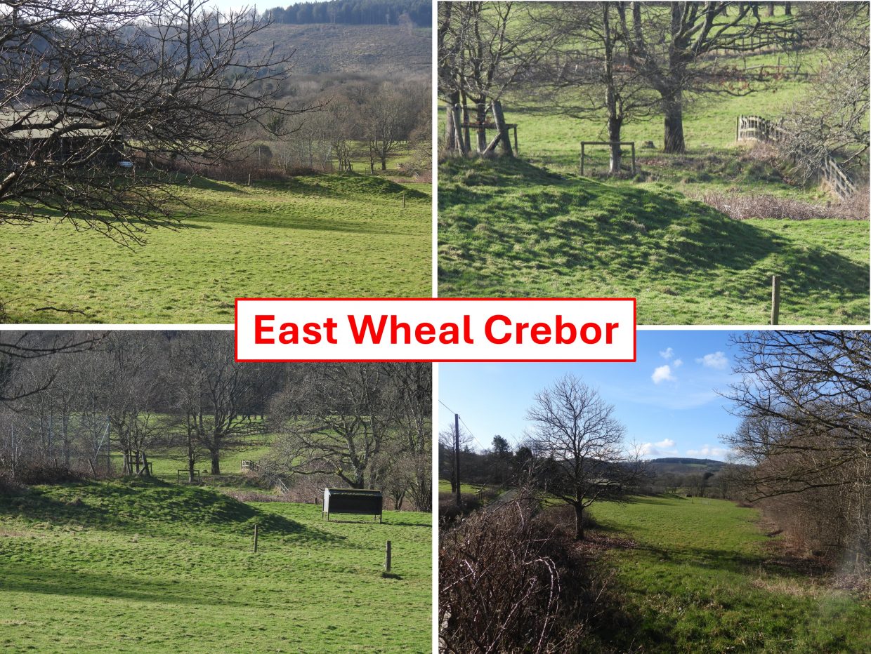 DARTMOOR EXPLORATIONS CALENDAR – FEBRUARY – Dartmoor Explorations