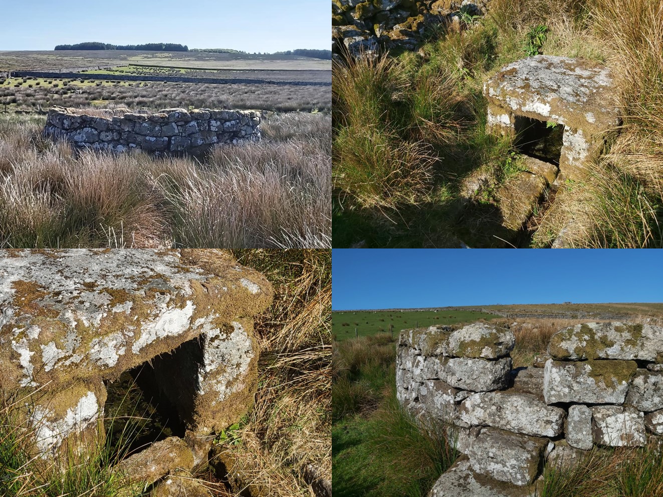 DARTMOOR EXPLORATIONS CALENDAR – MAY – Dartmoor Explorations