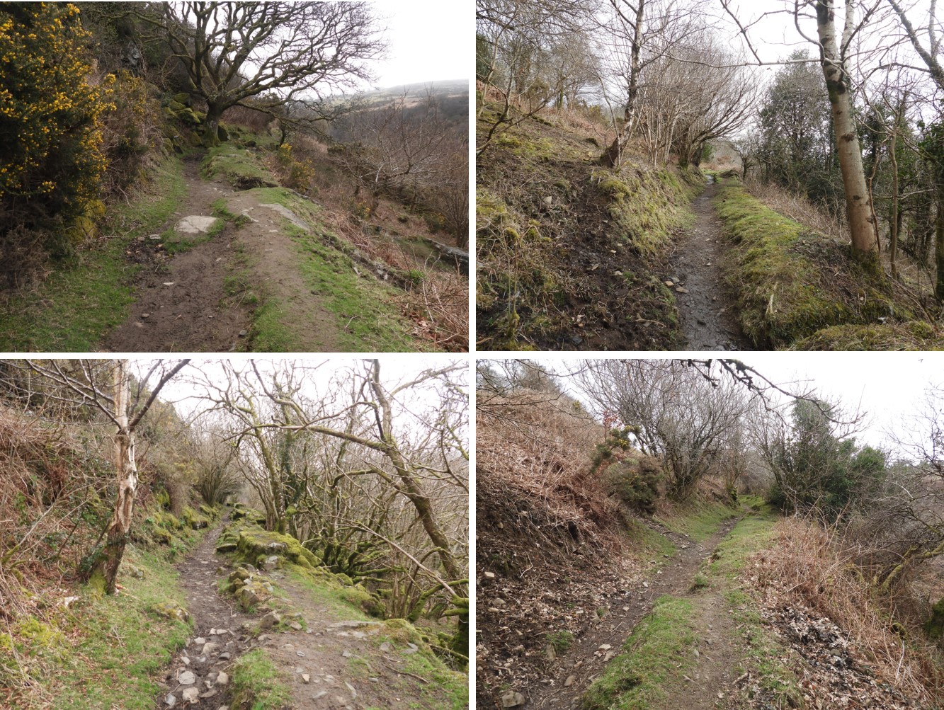 AN EXPLORATION OF BELSTONE CONSOLS SETT (GREAT COPPER HILL MINE ...