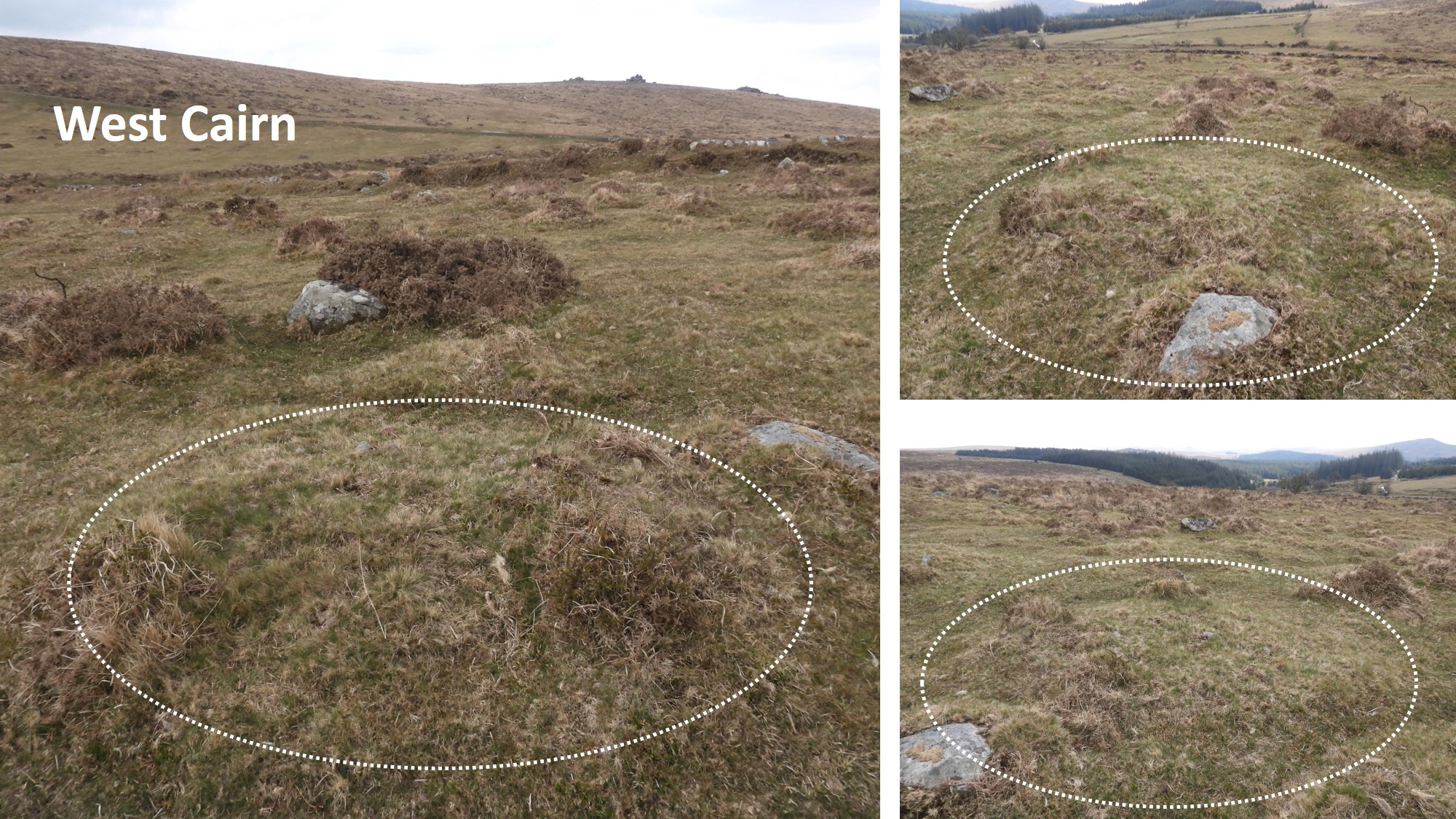 DARTMOOR EXPLORATIONS CALENDAR – JUNE – Dartmoor Explorations