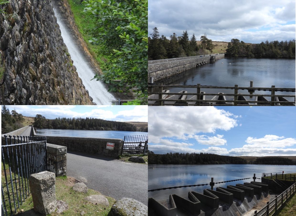 DARTMOOR EXPLORATIONS CALENDAR – JUNE – Dartmoor Explorations