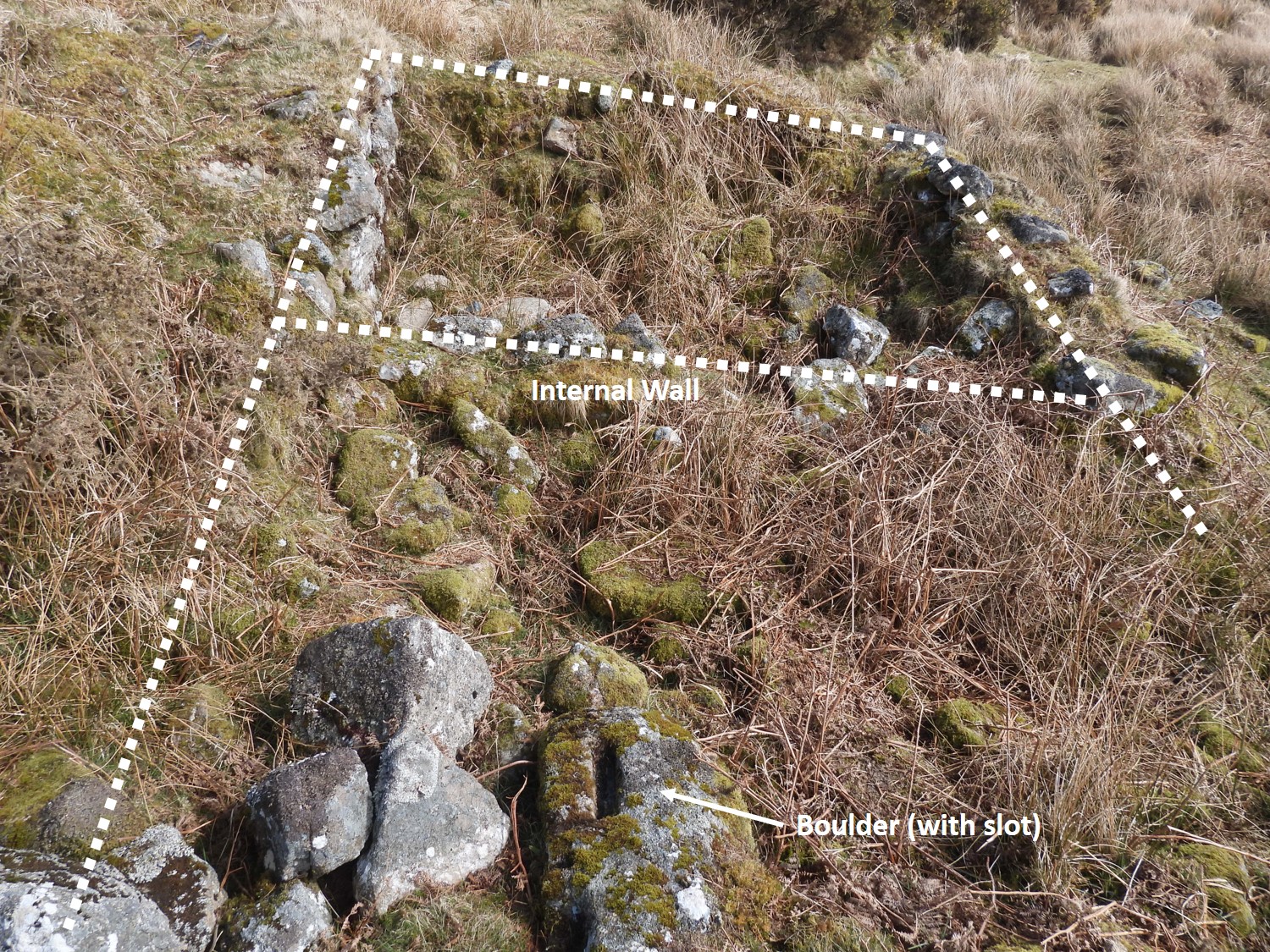 DARTMOOR EXPLORATIONS CALENDAR – JUNE – Dartmoor Explorations