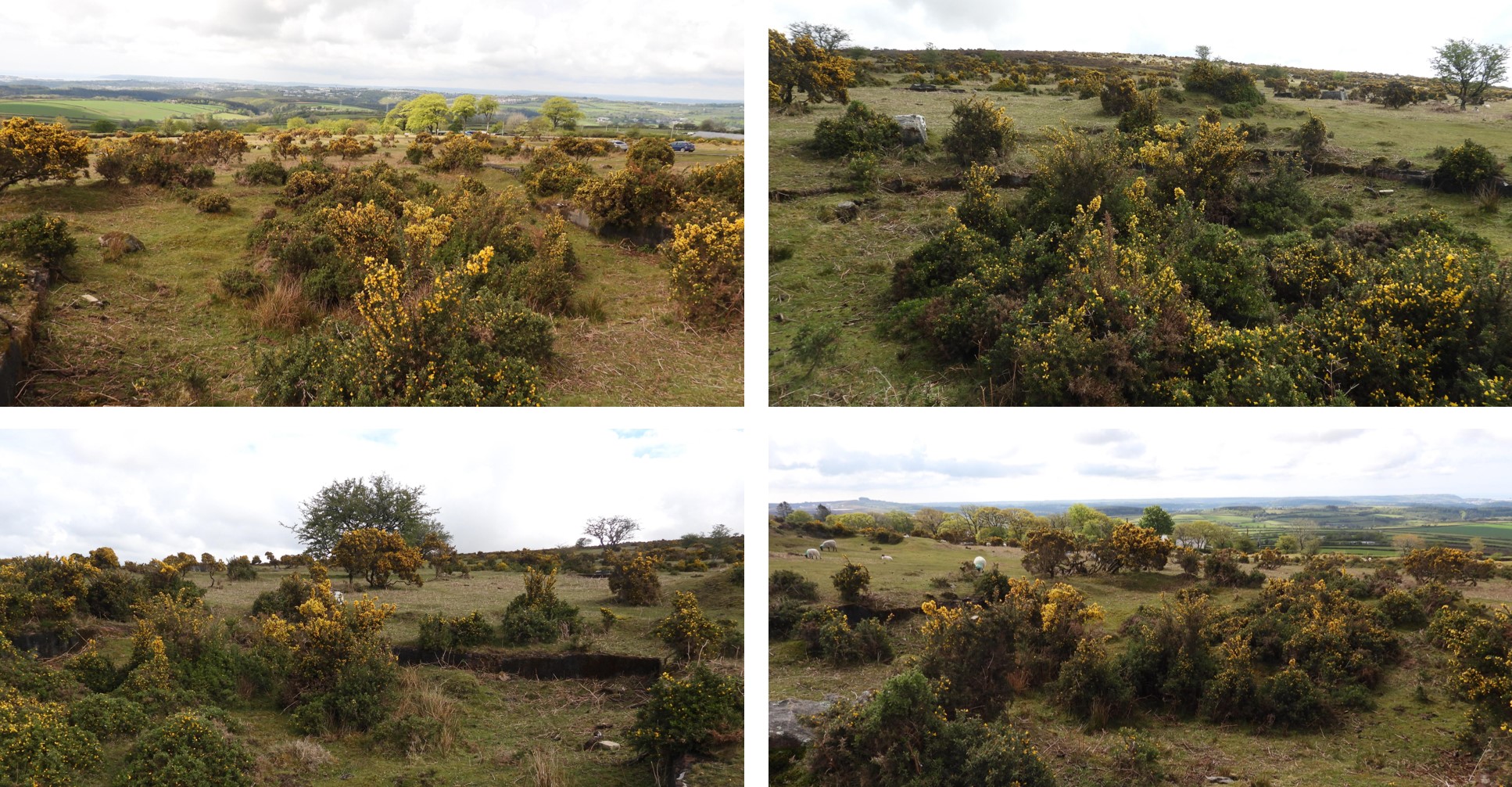 RAF HAWKS TOR – World War 2 Chain Home Low Radar Station – Dartmoor ...