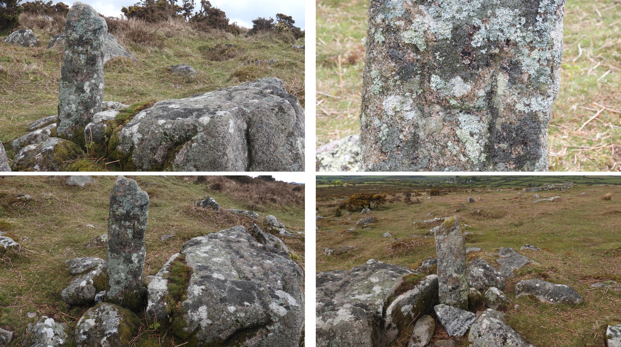 ‘H’ Boundstones on Reaves and Medieval Walls (possibly part of Huxton ...