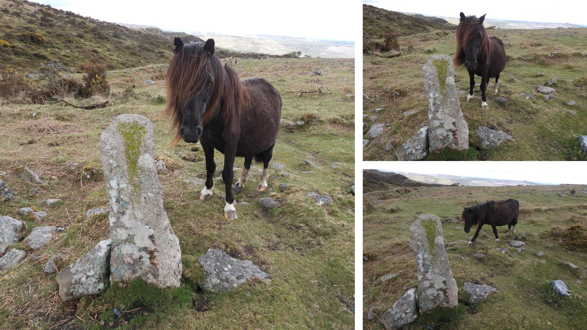 ‘H’ Boundstones on Reaves and Medieval Walls (possibly part of Huxton ...