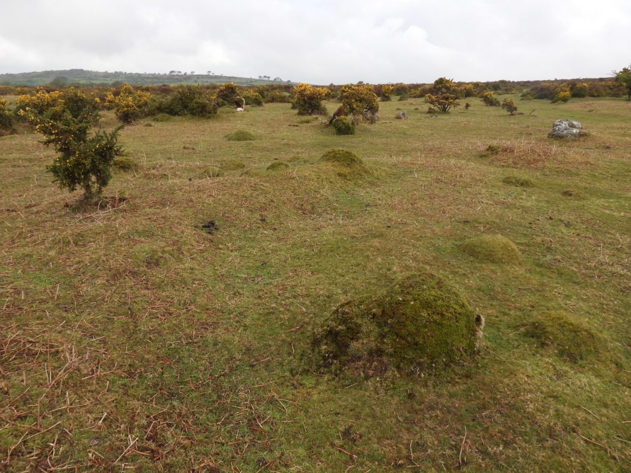 RAF HAWKS TOR – World War 2 Chain Home Low Radar Station – Dartmoor ...