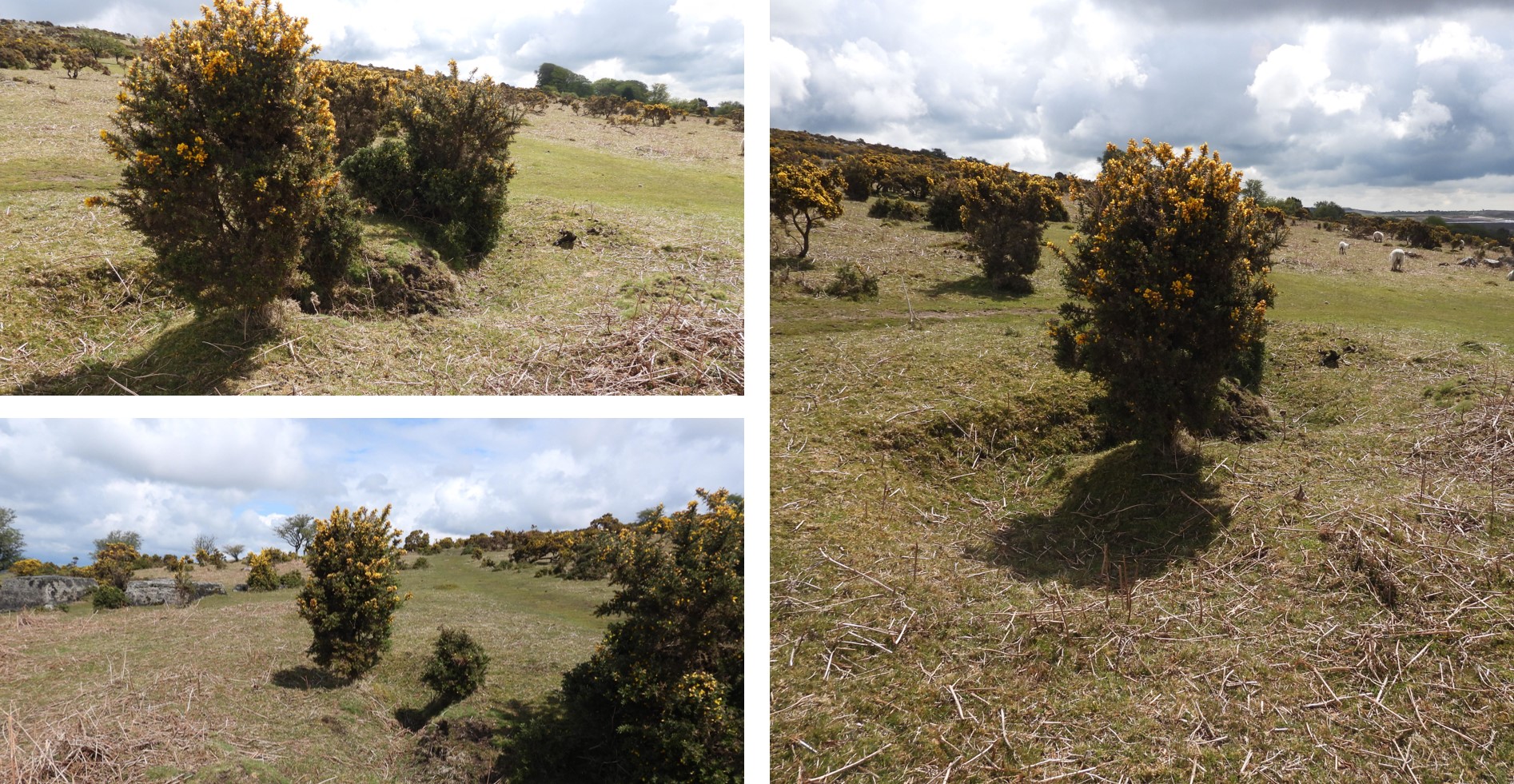 RAF HAWKS TOR – World War 2 Chain Home Low Radar Station – Dartmoor ...
