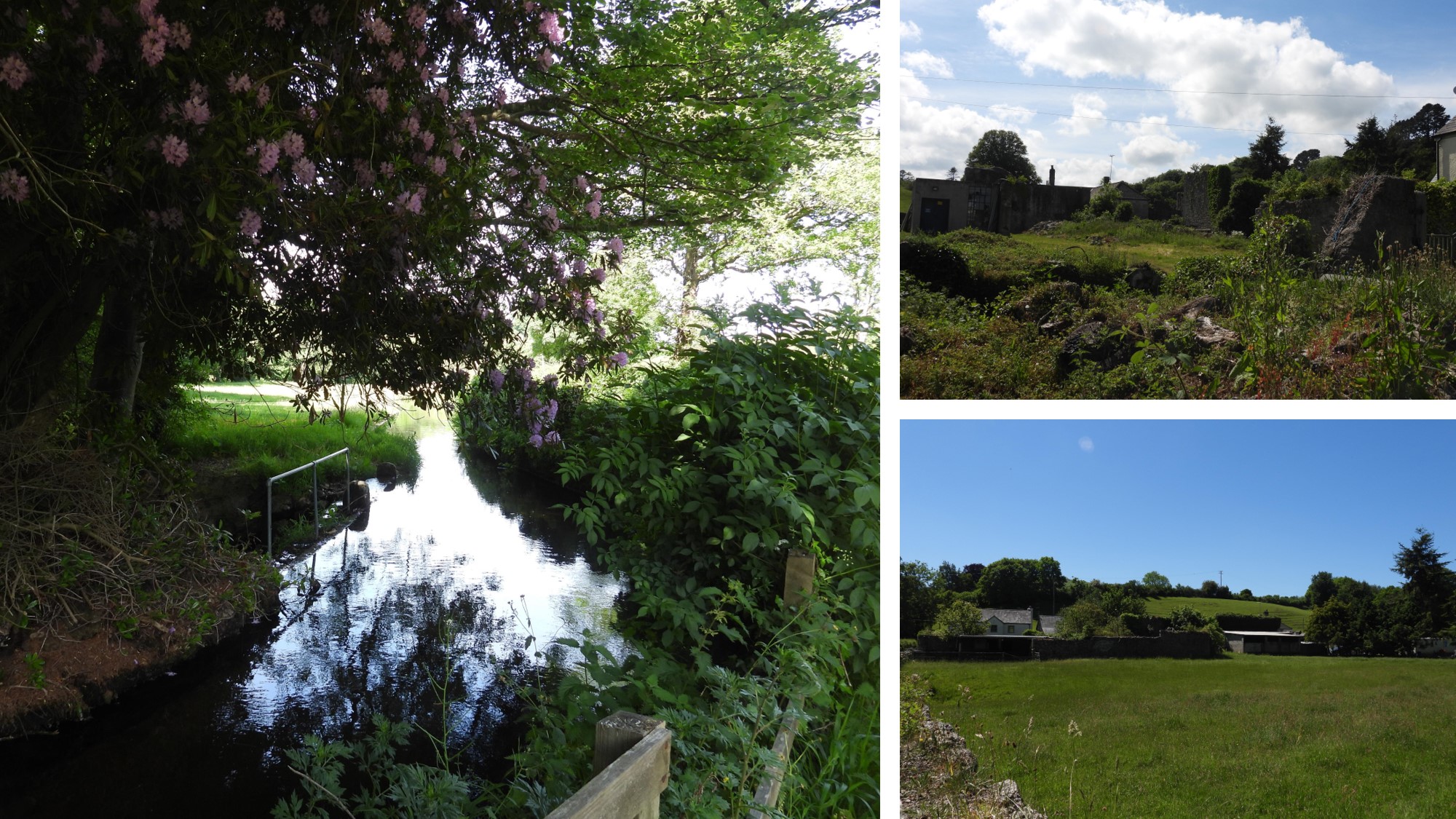 Dartmoor Explorations Calendar – September – Dartmoor Explorations