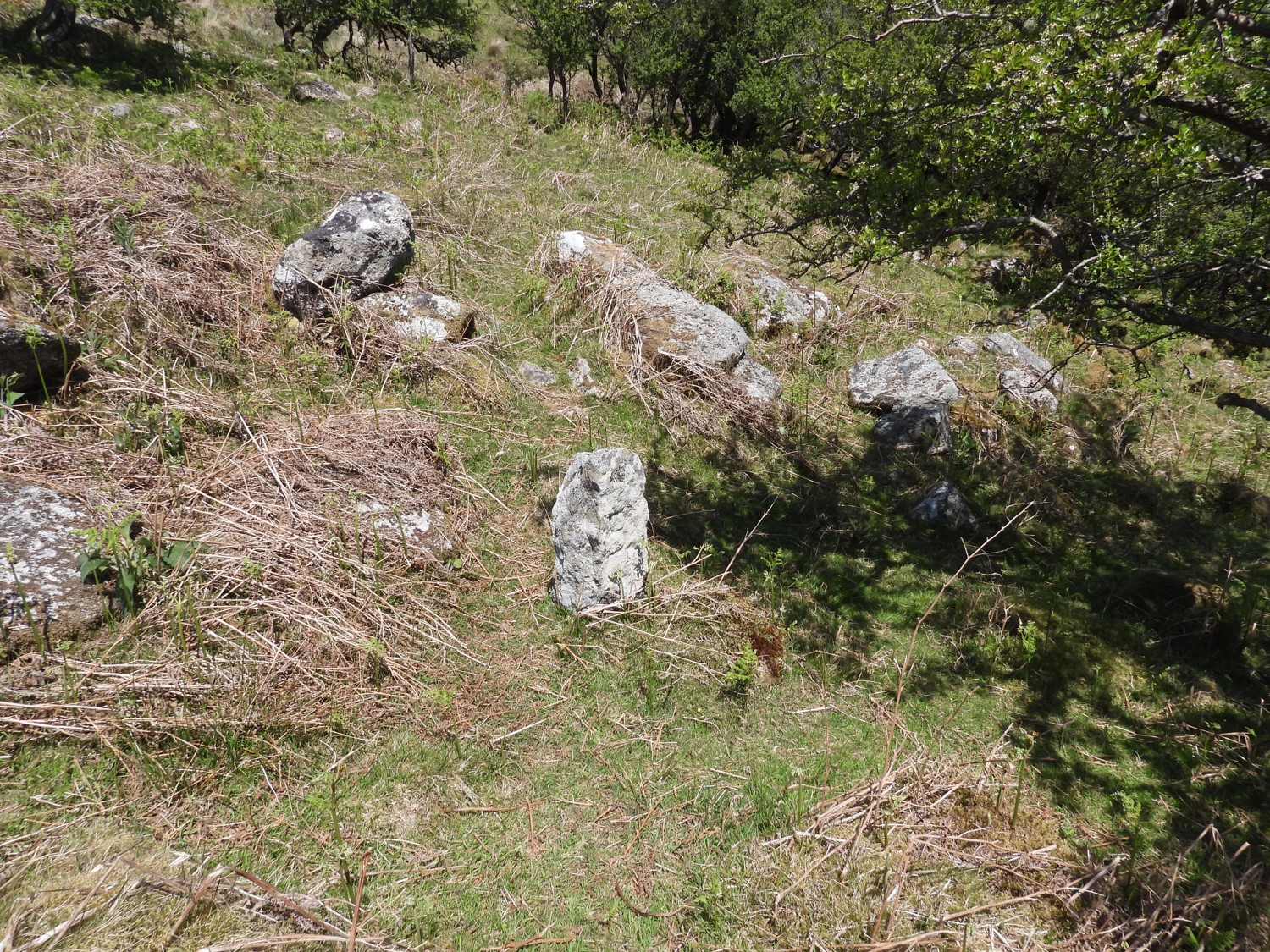 Holne Parish Boundary Rocks and Stones – Dartmoor Explorations