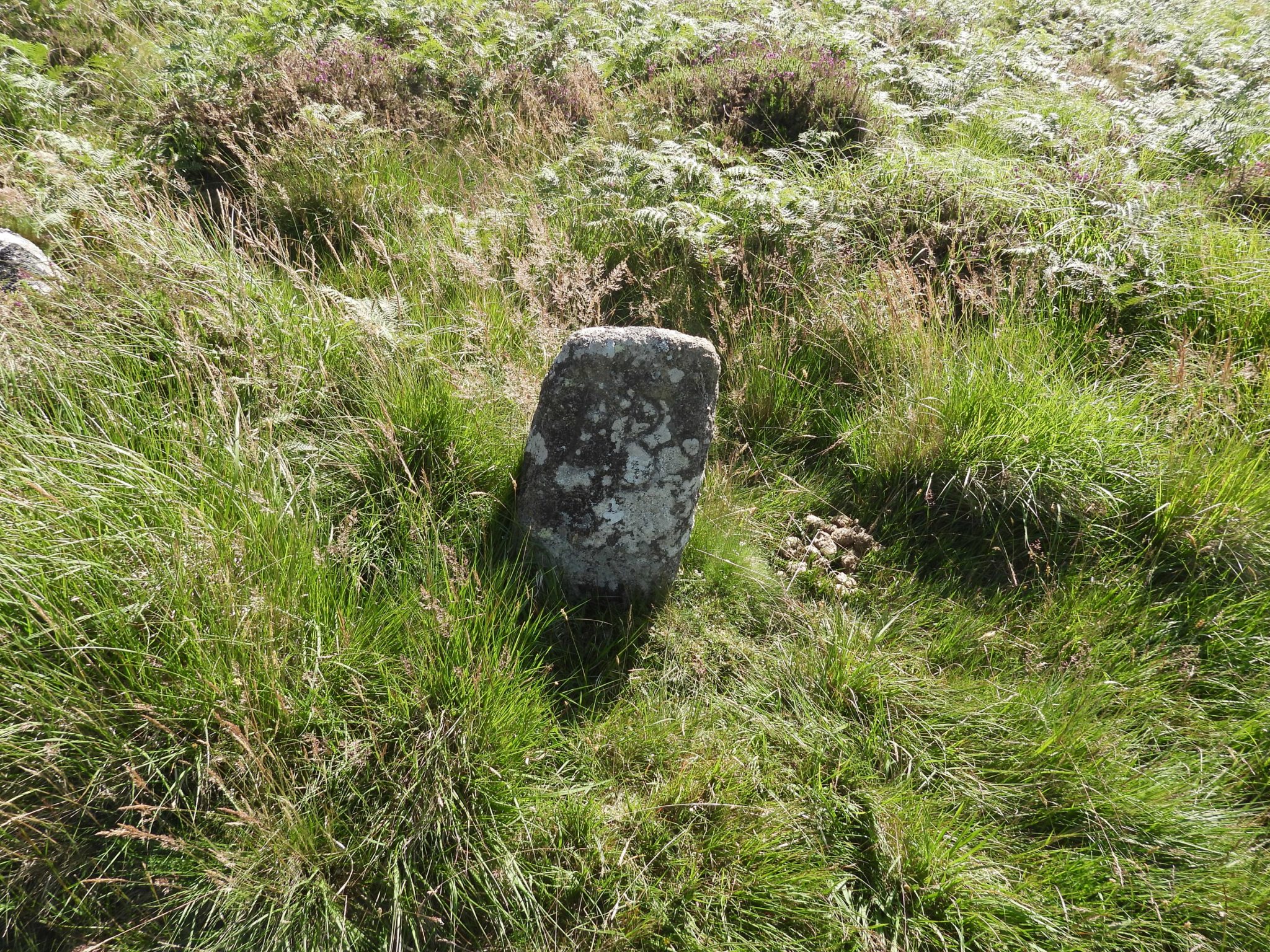 Boundstones on Southern (Moorland Section) of Belstone Parish Boundary ...