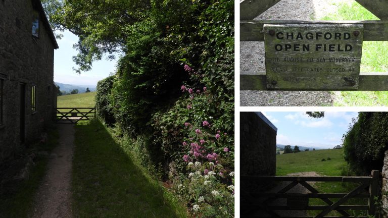 Chagford – Dartmoor Explorations