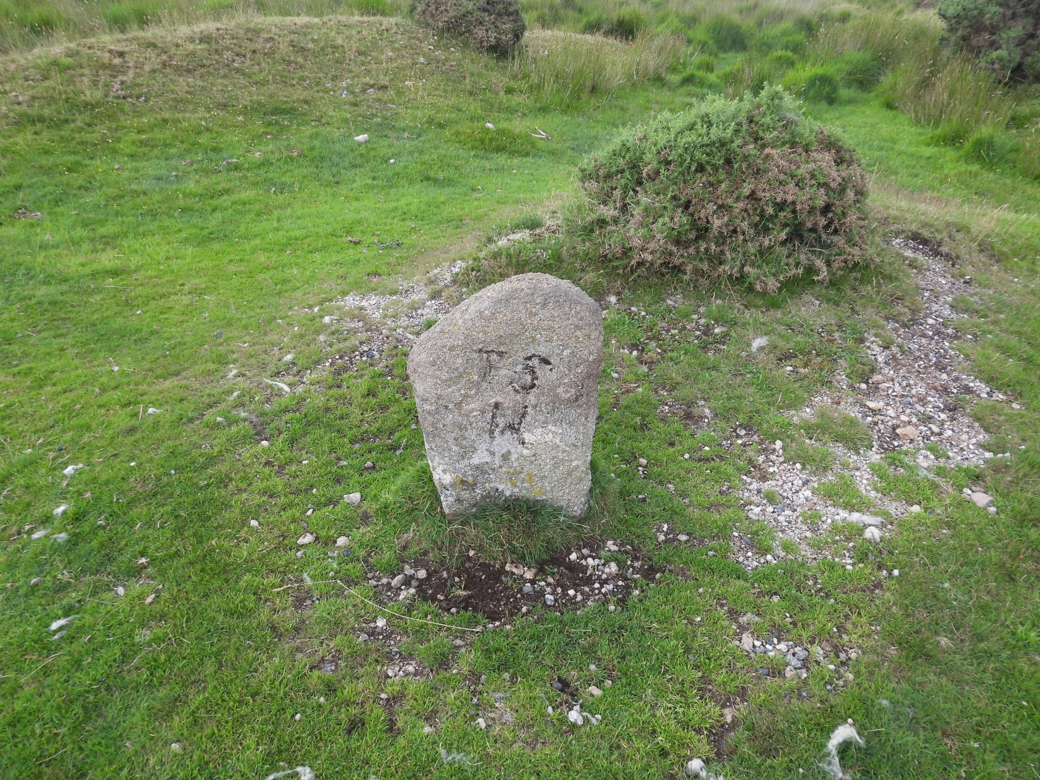 Riddon Ridge Inscribed Stones – Dartmoor Explorations
