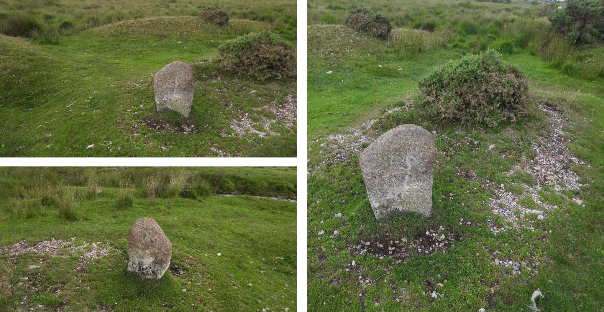 Riddon Ridge Inscribed Stones – Dartmoor Explorations