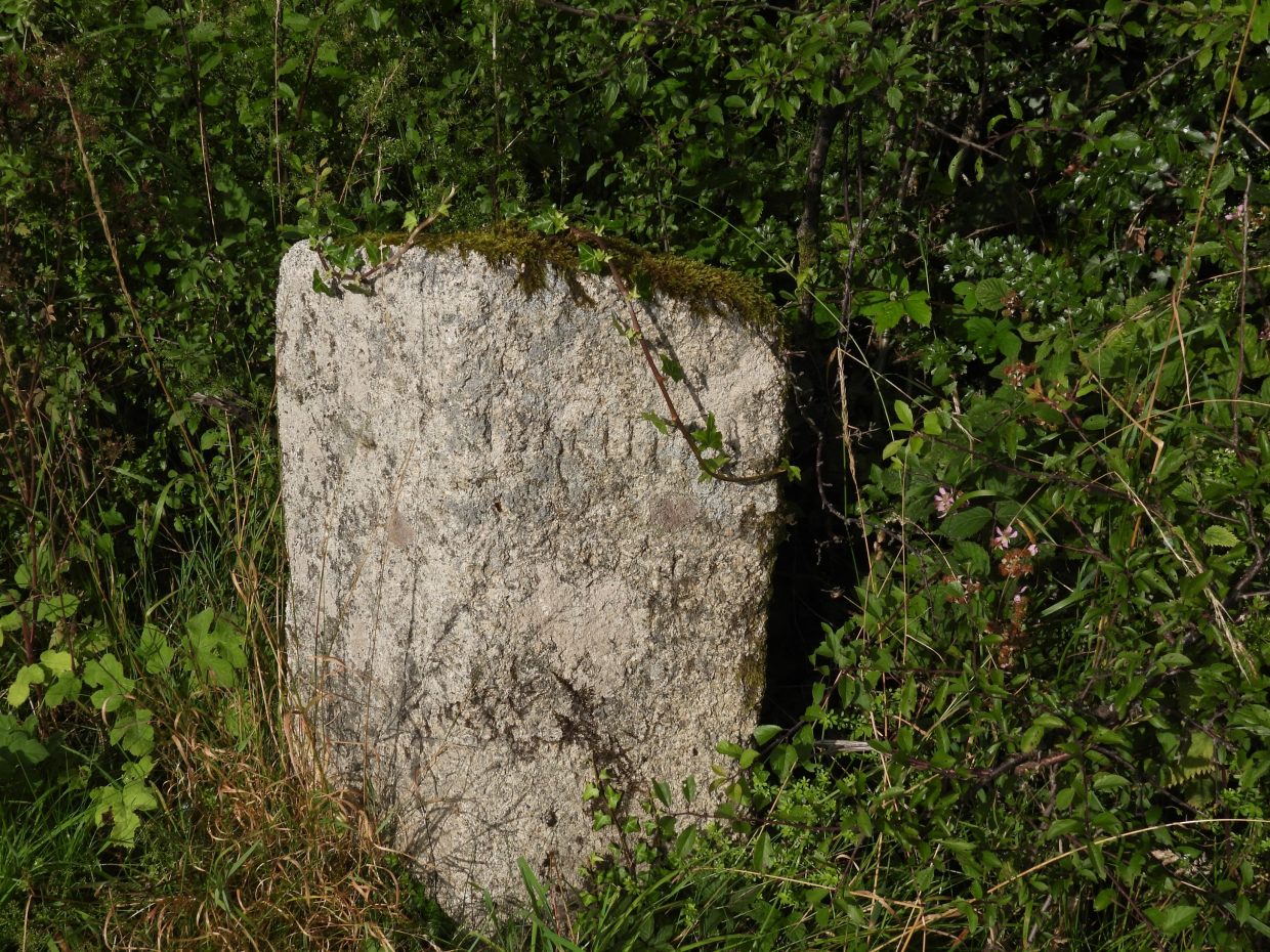 Willsworthy Manor (“WB”) and Hamlyn Newtake (“H”) Boundstones ...