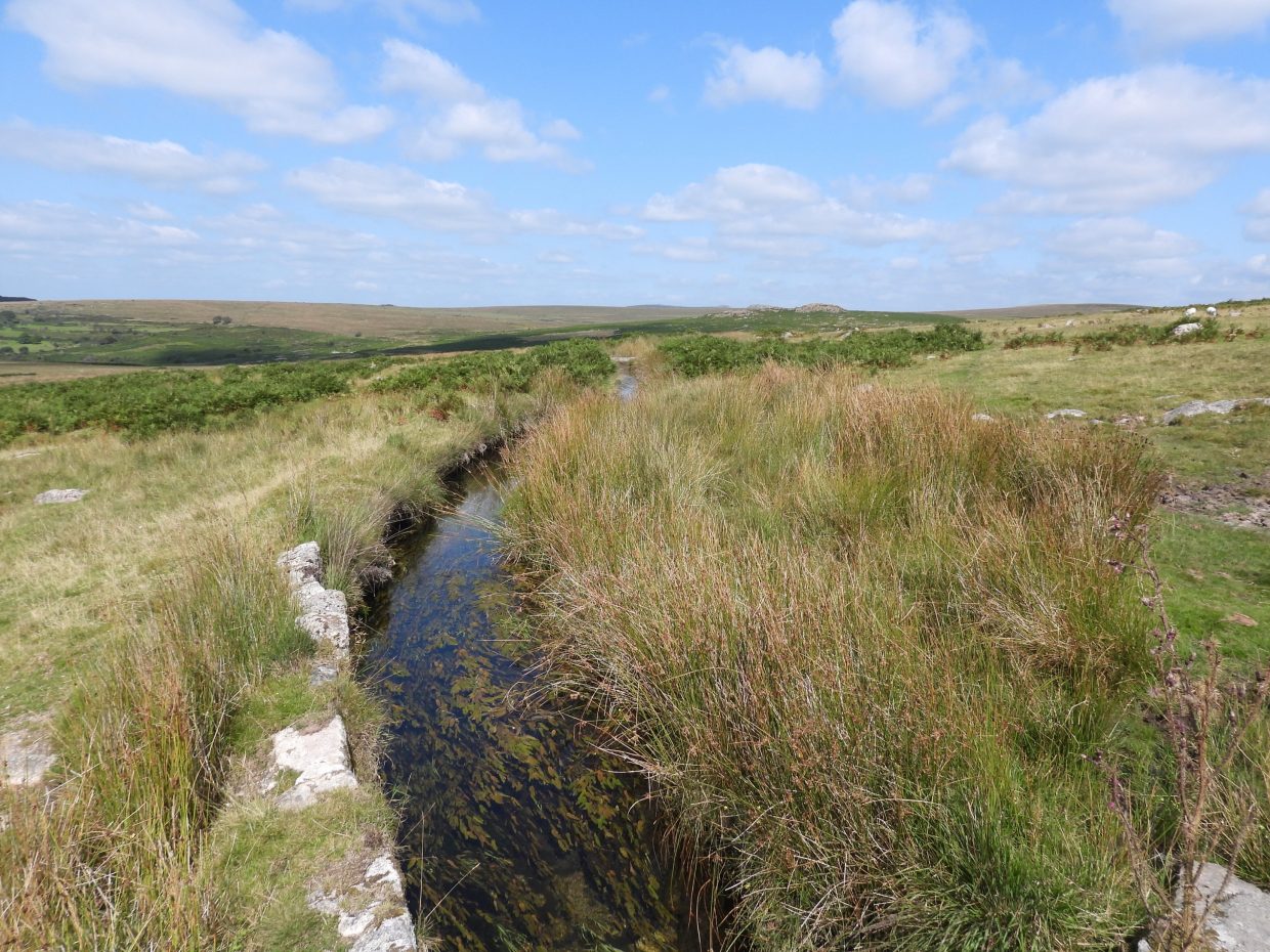 An Exploration of Two post-medieval buildings in the Trowlesworthy Tors ...