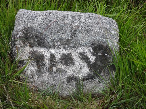 Riddon Ridge Inscribed Stones – Dartmoor Explorations