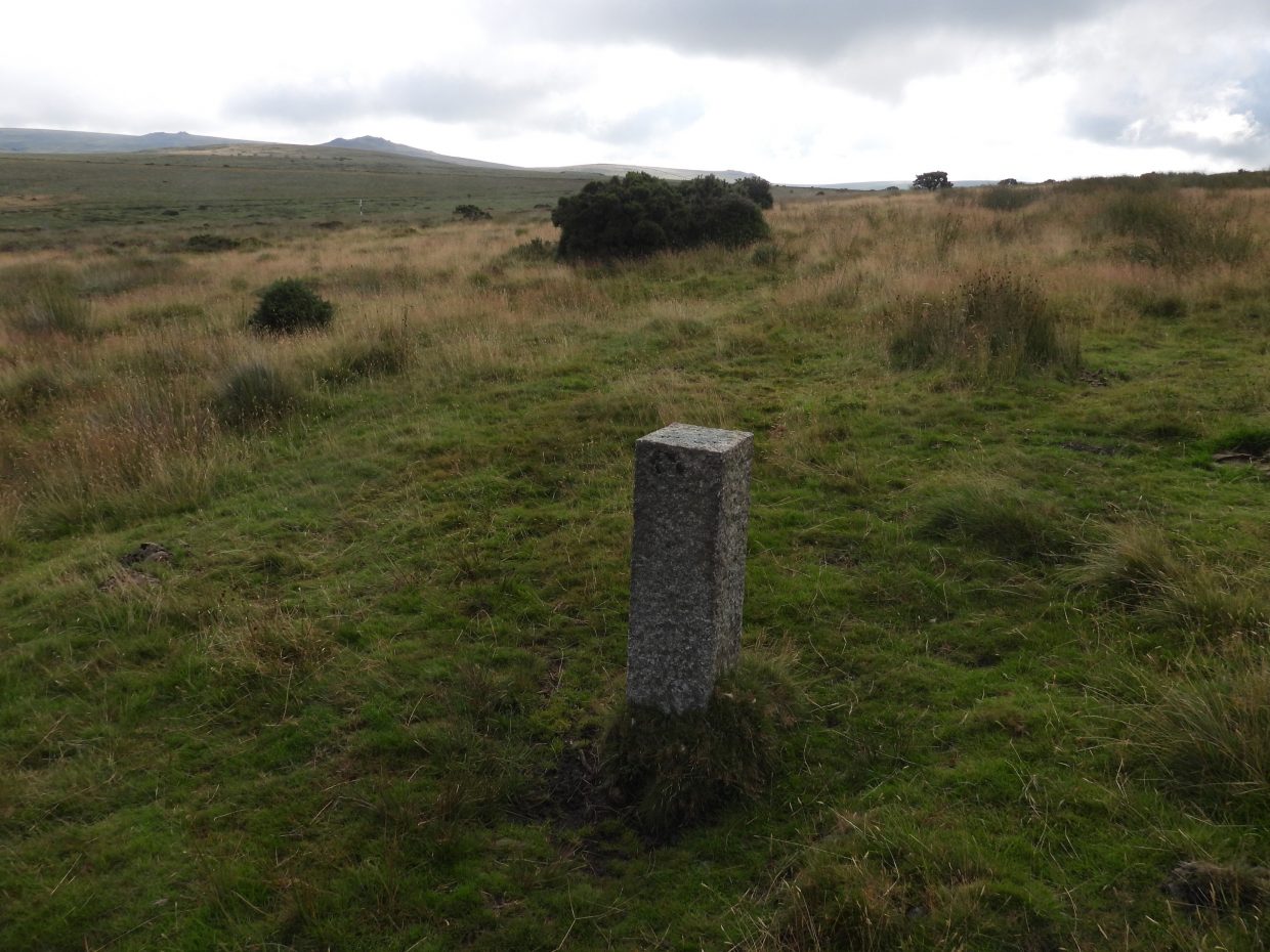 Willsworthy Manor (“WB”) and Hamlyn Newtake (“H”) Boundstones ...