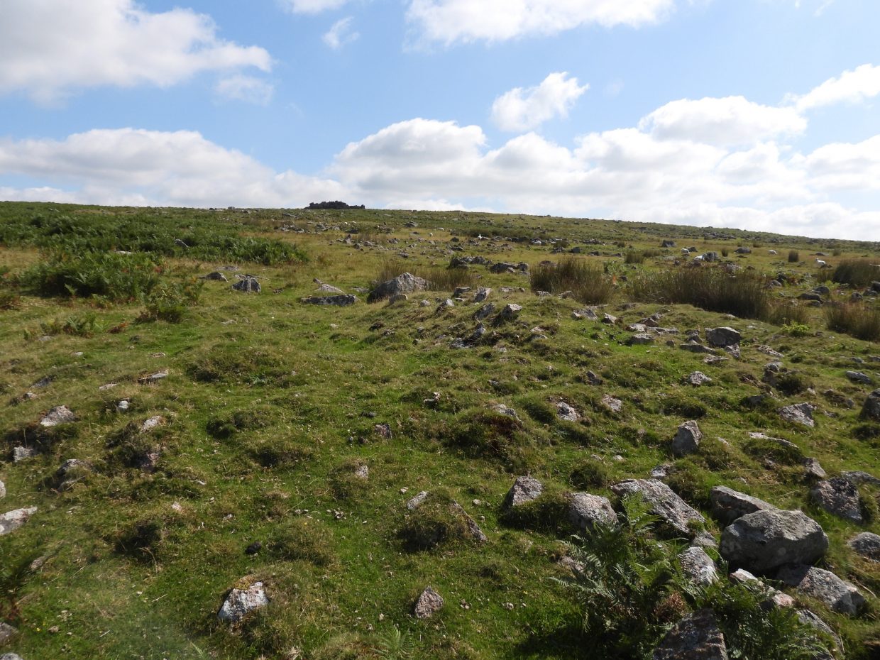 An Exploration of Two post-medieval buildings in the Trowlesworthy Tors ...