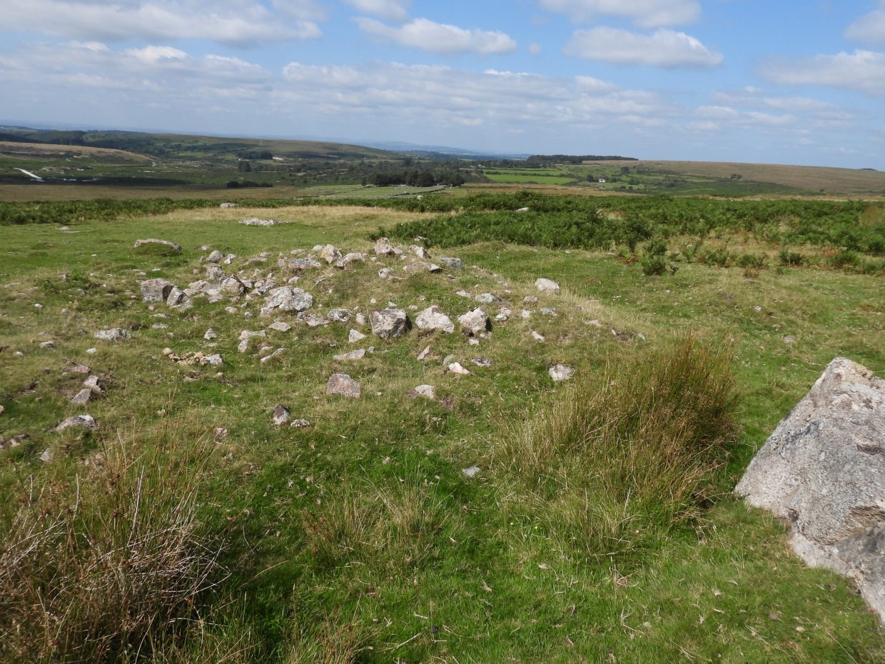 An Exploration of Two post-medieval buildings in the Trowlesworthy Tors ...
