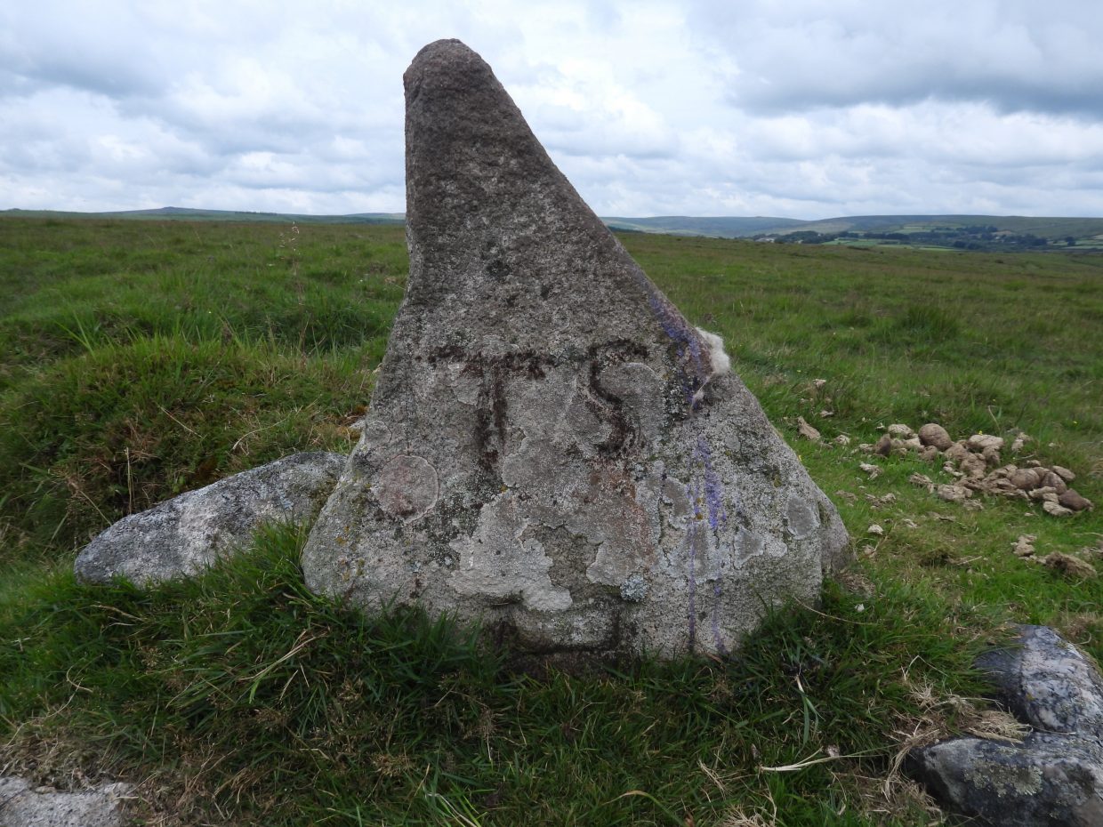 Riddon Ridge Inscribed Stones – Dartmoor Explorations