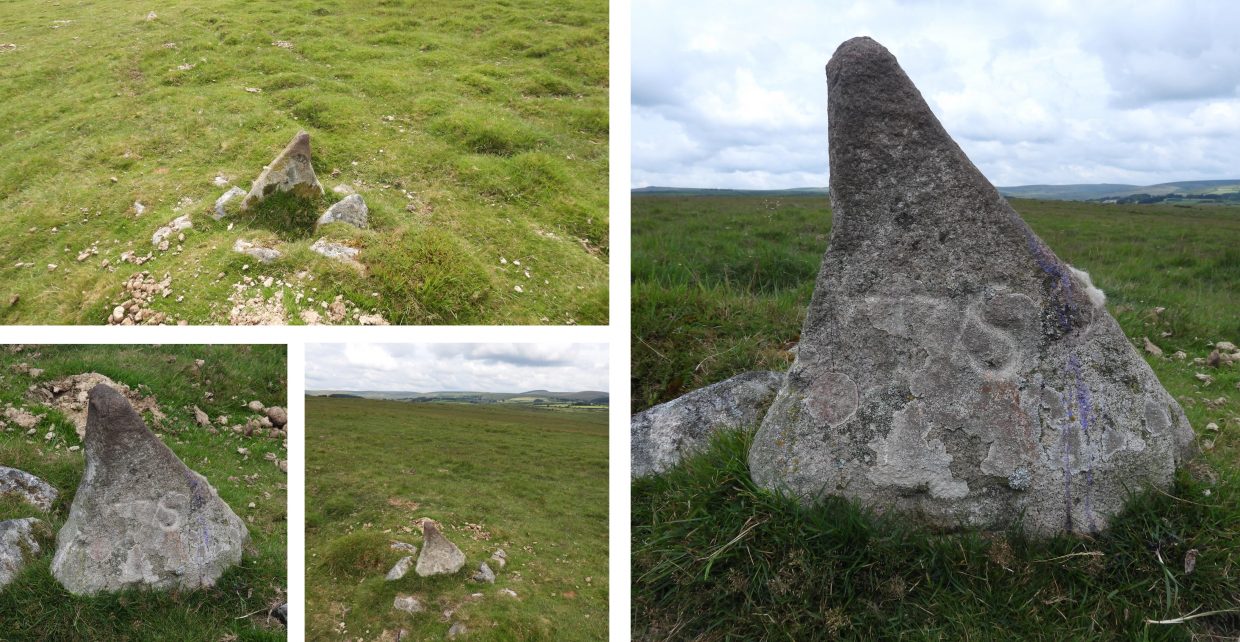 Riddon Ridge Inscribed Stones – Dartmoor Explorations