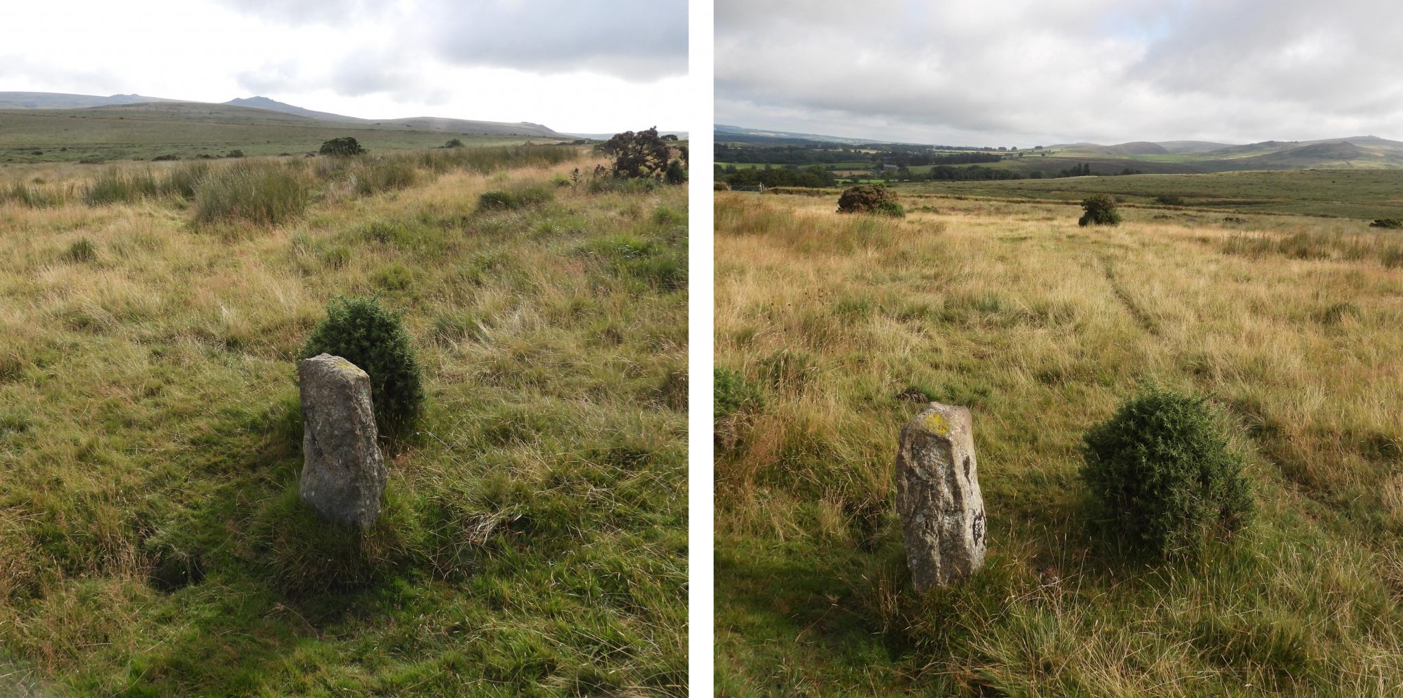Willsworthy Manor (“WB”) and Hamlyn Newtake (“H”) Boundstones ...