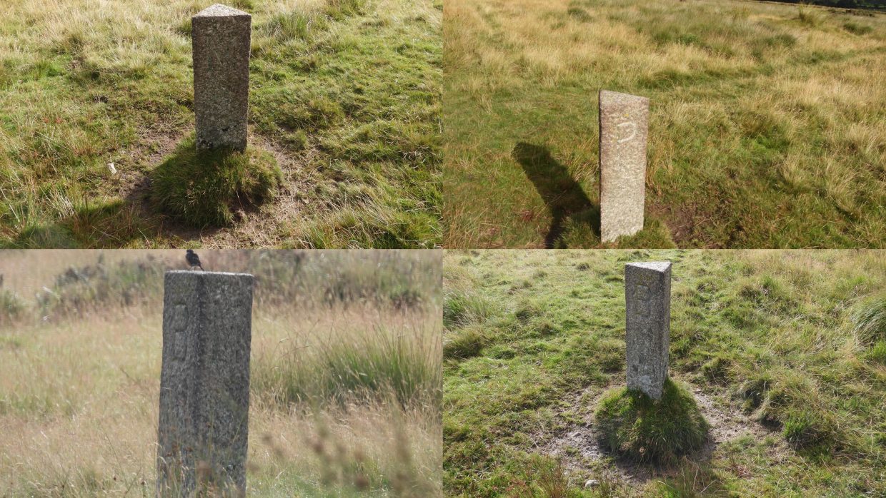 Willsworthy Manor (“WB”) and Hamlyn Newtake (“H”) Boundstones ...