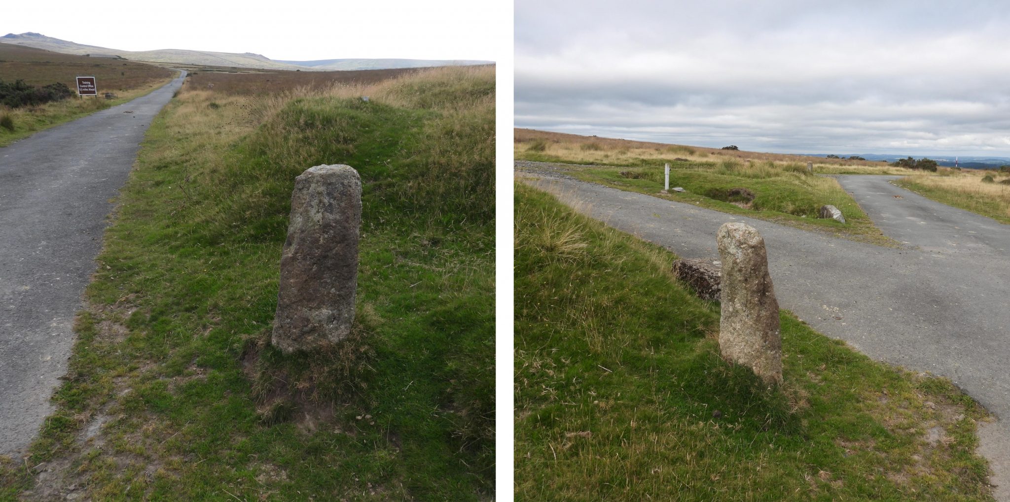 Willsworthy Manor (“WB”) and Hamlyn Newtake (“H”) Boundstones ...