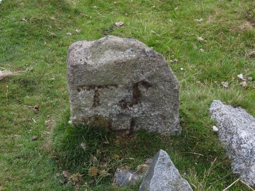 Riddon Ridge Inscribed Stones – Dartmoor Explorations