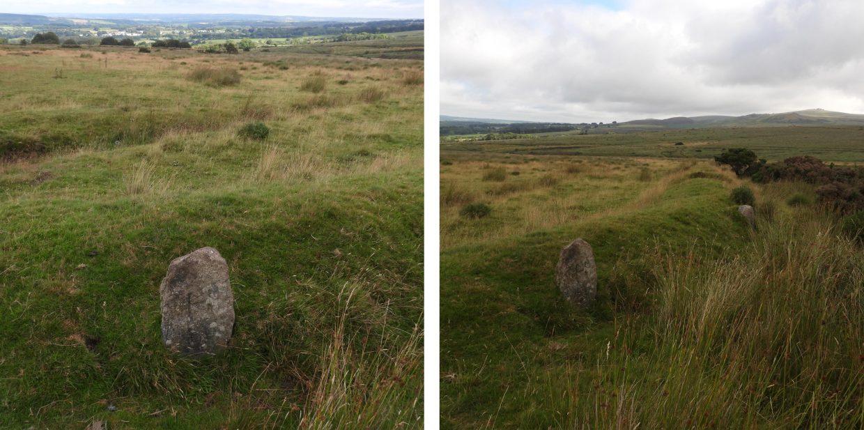 Willsworthy Manor (“WB”) and Hamlyn Newtake (“H”) Boundstones ...