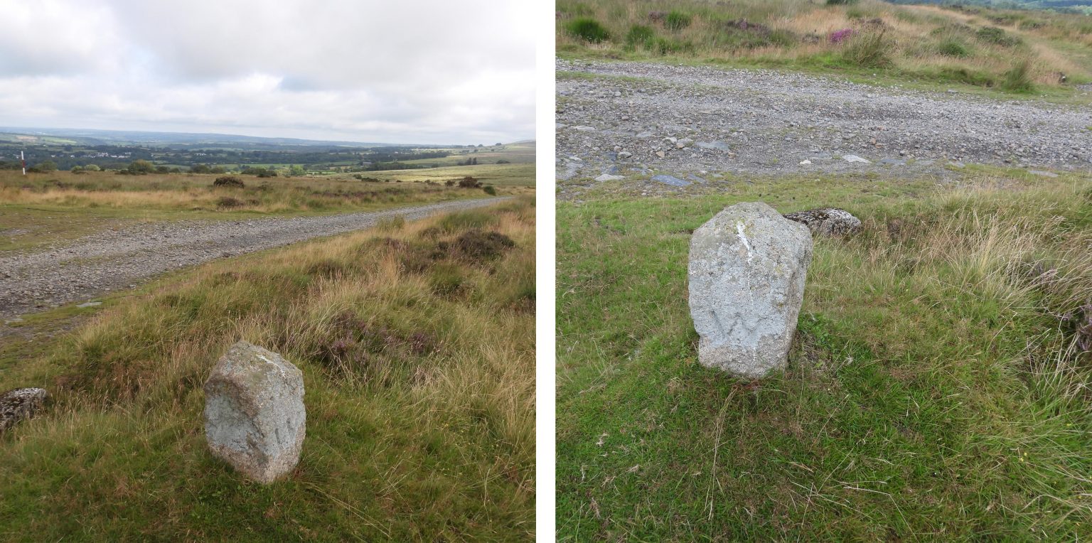 Willsworthy Manor (“WB”) and Hamlyn Newtake (“H”) Boundstones ...