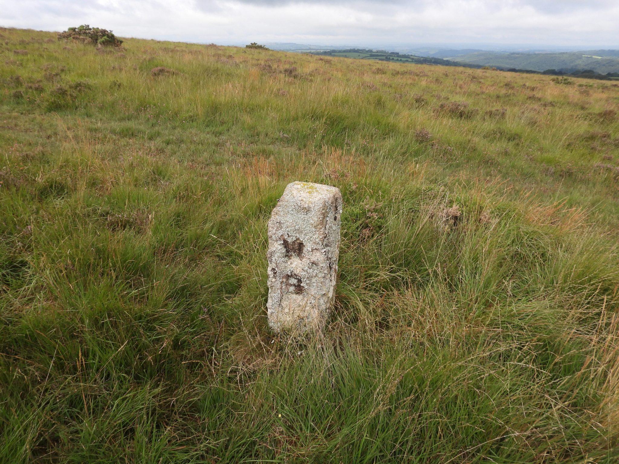Willsworthy Manor (“WB”) and Hamlyn Newtake (“H”) Boundstones ...