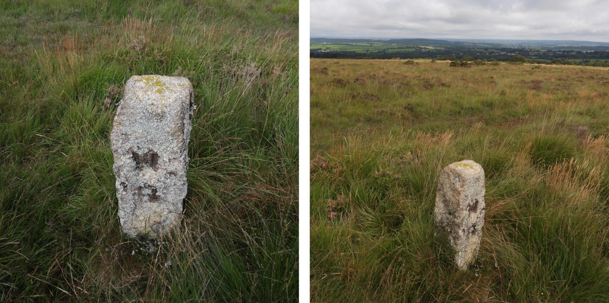 Willsworthy Manor (“WB”) and Hamlyn Newtake (“H”) Boundstones ...