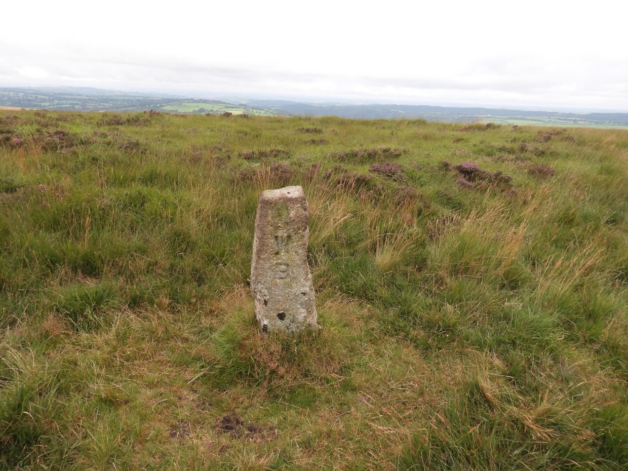 Willsworthy Manor (“WB”) and Hamlyn Newtake (“H”) Boundstones ...