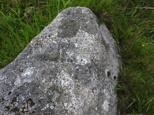 Riddon Ridge Inscribed Stones – Dartmoor Explorations